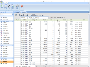 Stok Manager - SMC Rojmel | Easy Accounting solution