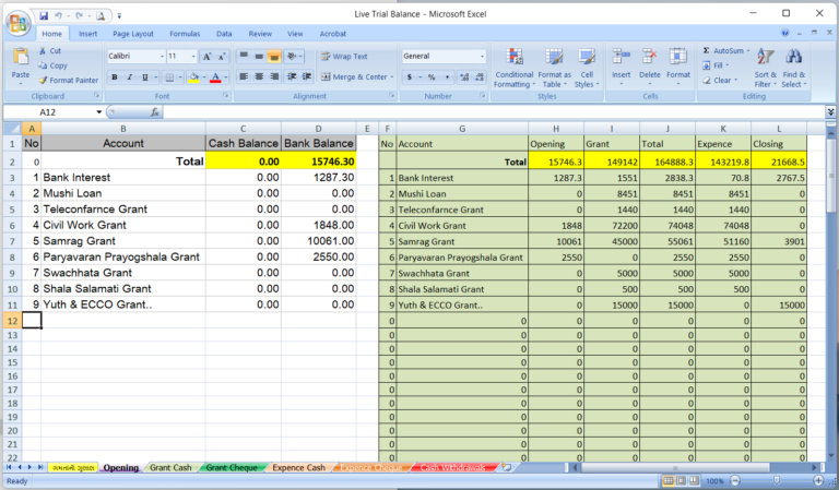 Live Trial Balance – SMC Rojmel | Easy Accounting solution